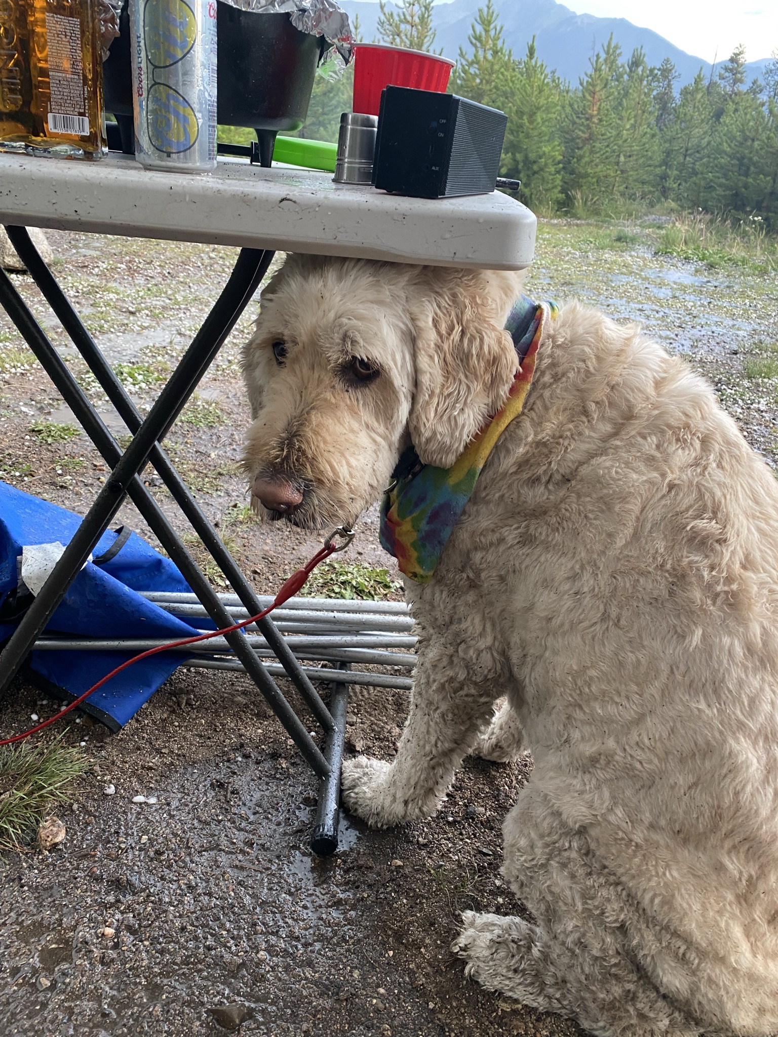 A Weekend at Prospector Campground in Summit County, Colorado ...